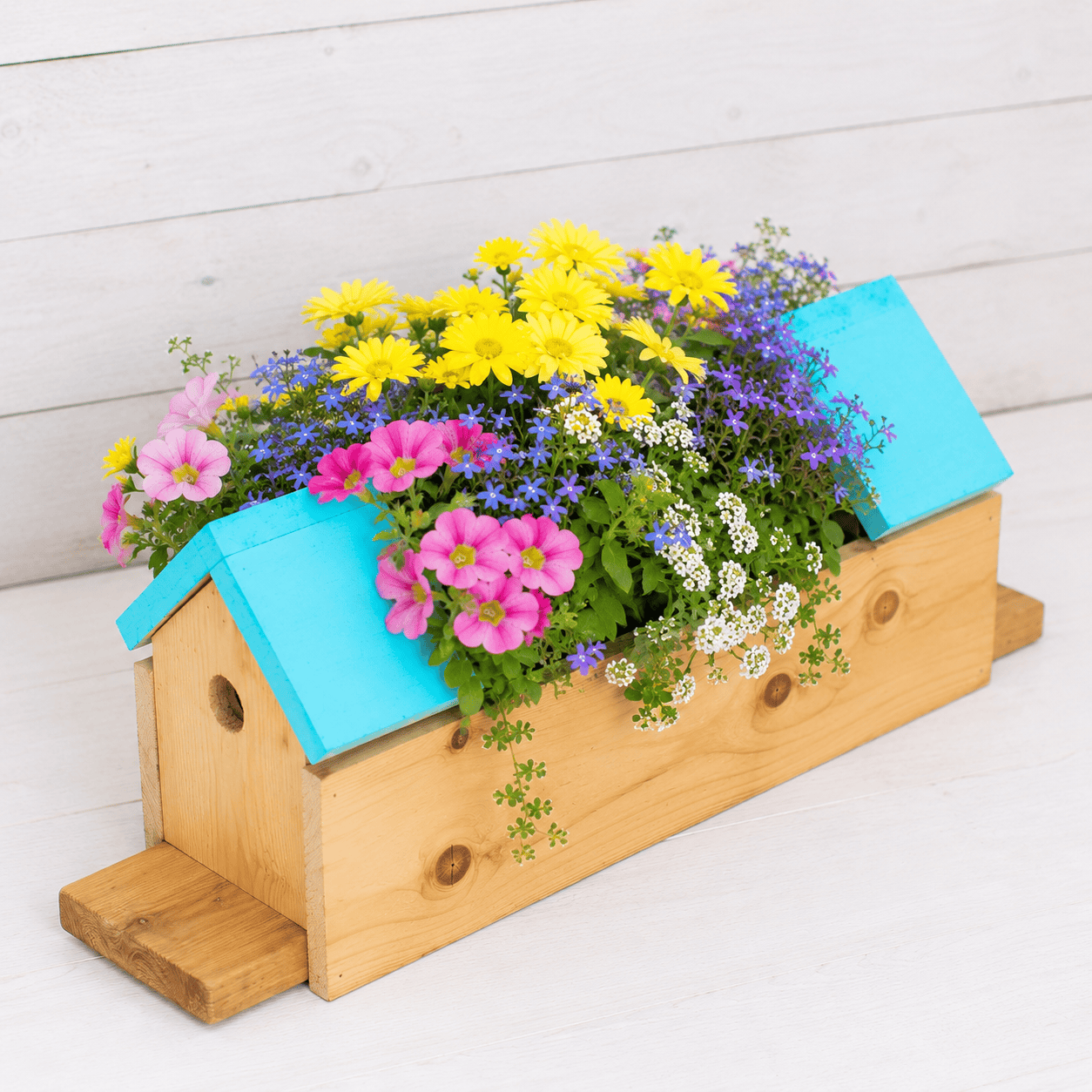 How to Build an Easy Birdhouse Planter (DIY Garden Project for Beginners)